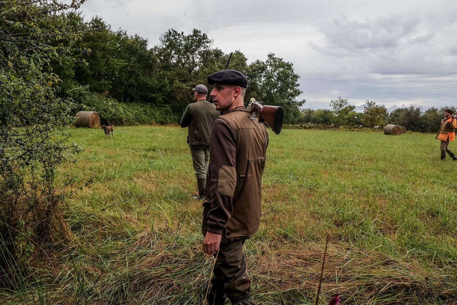Landesjagdgesetz Rheinland-Pfalz: IGJG kritisiert Zeitplan des ...
